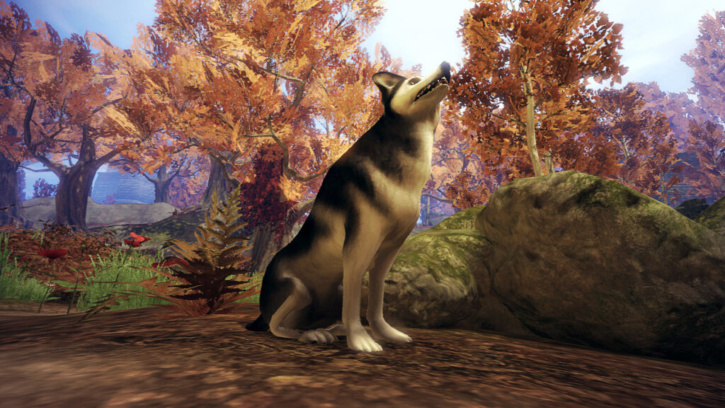 Fable II ‘See the Future’ Screens Are Man’s Best Friend - Gematsu