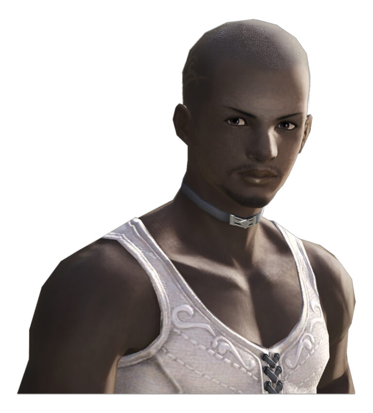 The Tribes of Final Fantasy XIV - Gematsu