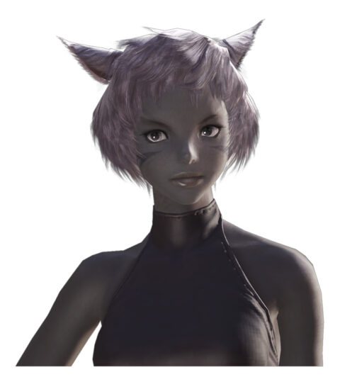 The Tribes of Final Fantasy XIV - Gematsu