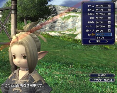 Final Fantasy XIV alpha leaks new screens - Gematsu