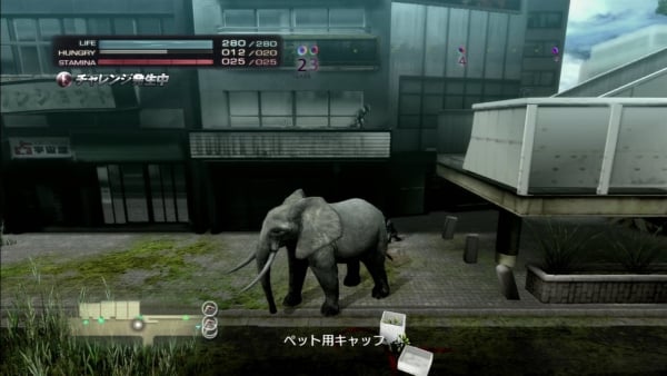 Tokyo Jungle screenshots - Gematsu