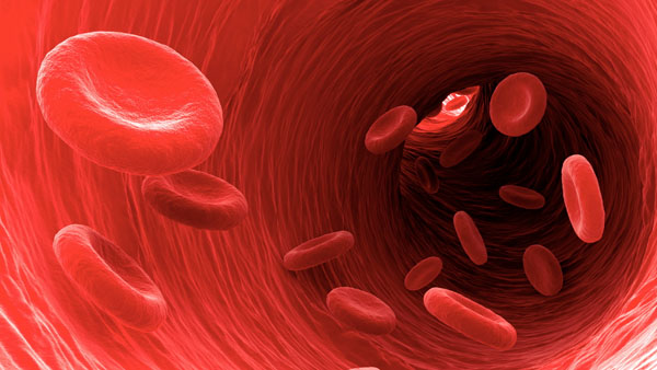 Sony trademarks Bloodborne in the United States - Gematsu