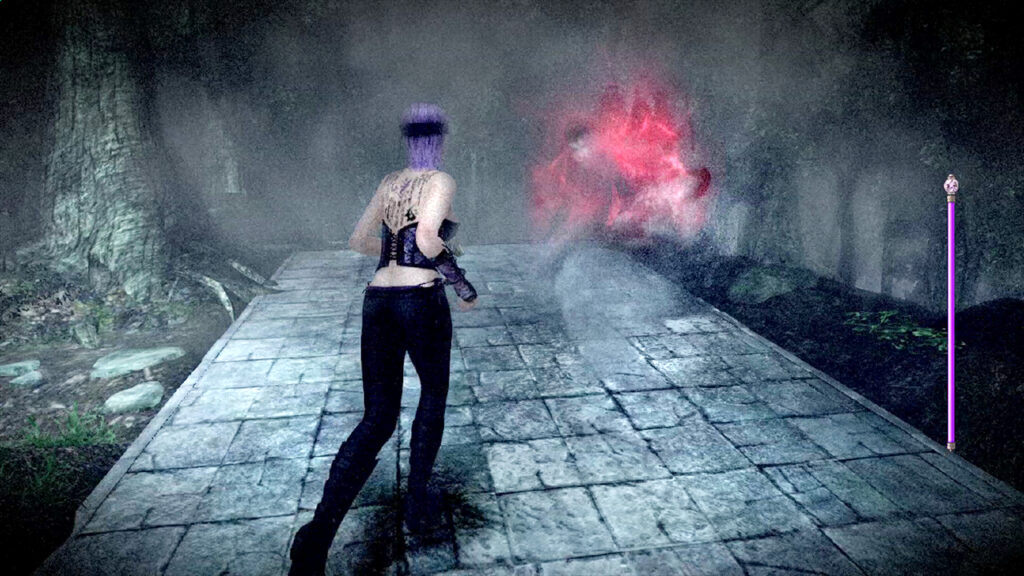 Dead or Alive’s Ayane playable in Fatal Frame Wii U - Gematsu
