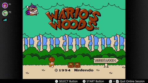 NES – Nintendo Switch Online adds Adventures of Lolo, Ninja Gaiden, and ...