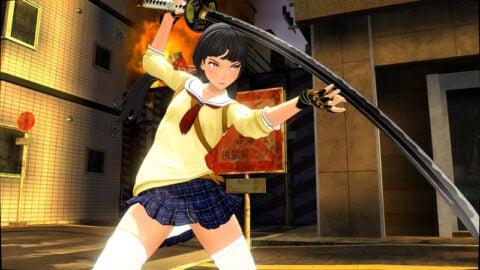 Onechanbara Origin Japanese box art, pre-order bonuses announced - Gematsu