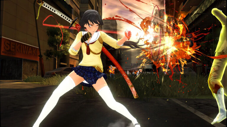 Onechanbara Origin Japanese box art, pre-order bonuses announced - Gematsu