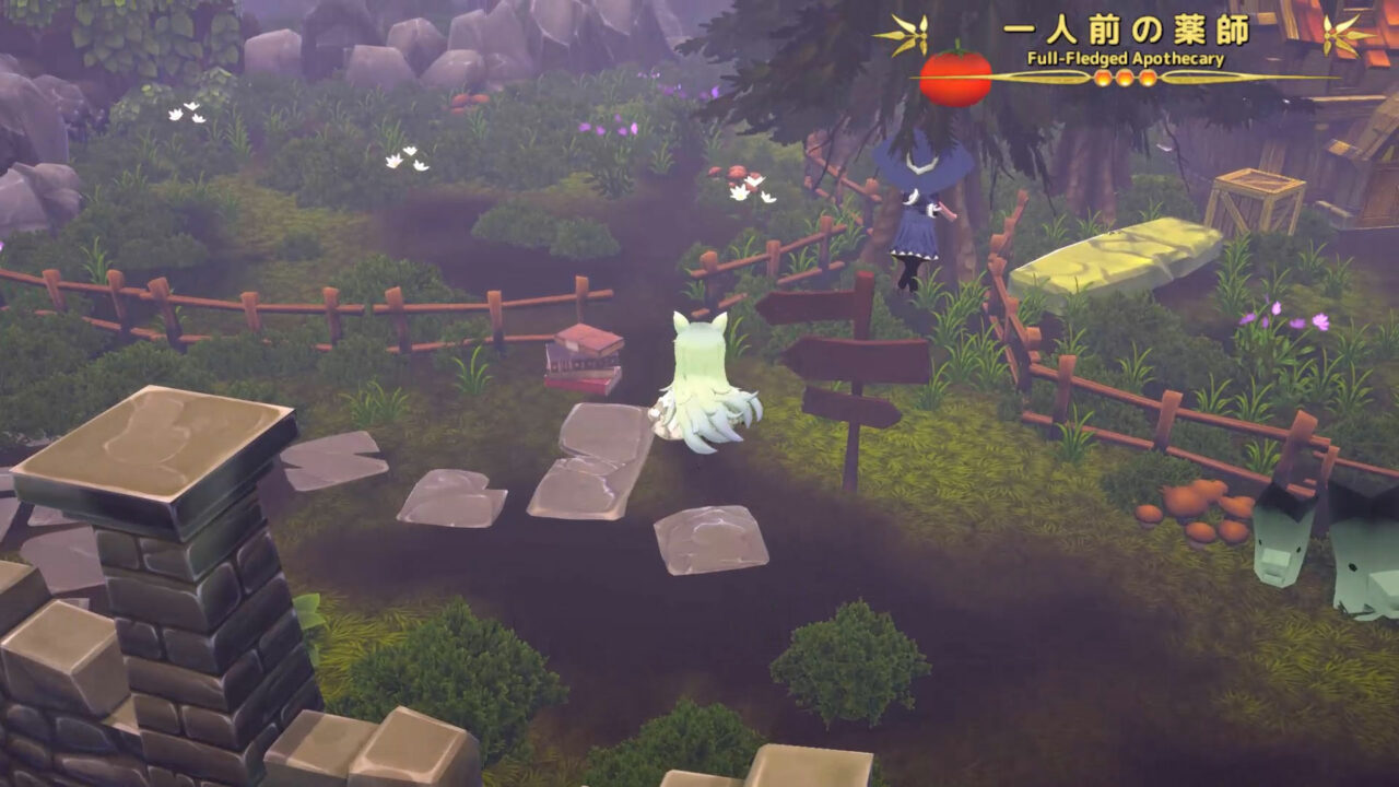 Marchen Forest: Mylne and the Forest Gift for PS4 and Switch physical ...