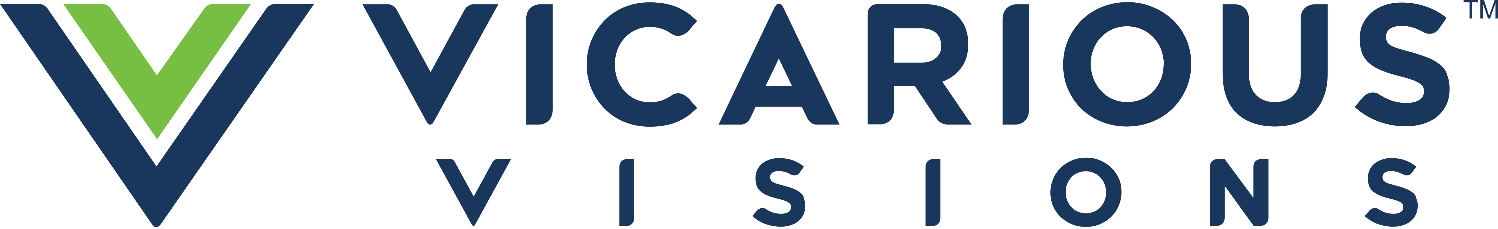 Vicarious Visions - Gematsu