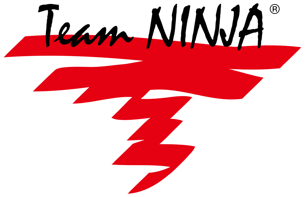 Team NINJA - Gematsu