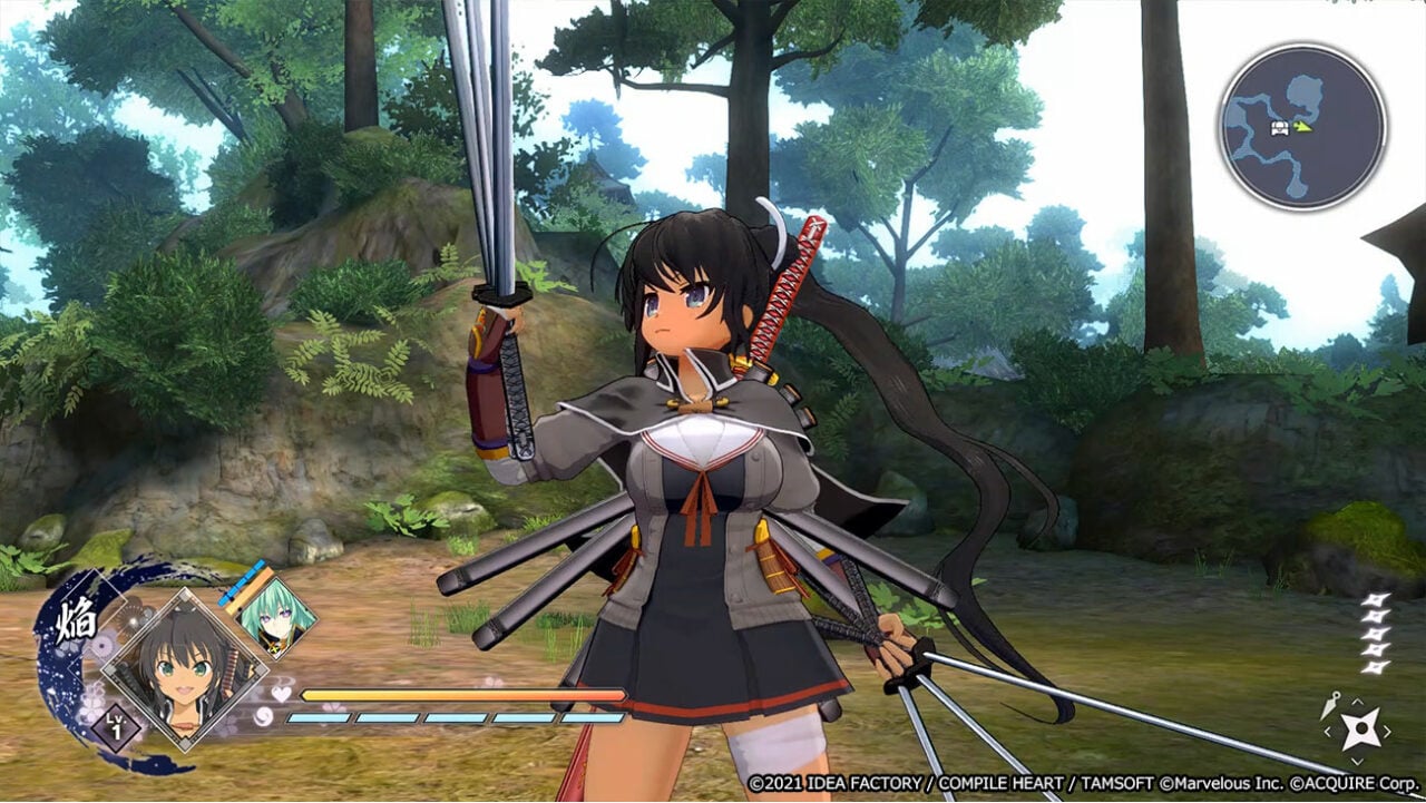 Senran Nin Nin Ninja Taisen Neptune: Shoujo-tachi no Kyouen first ...