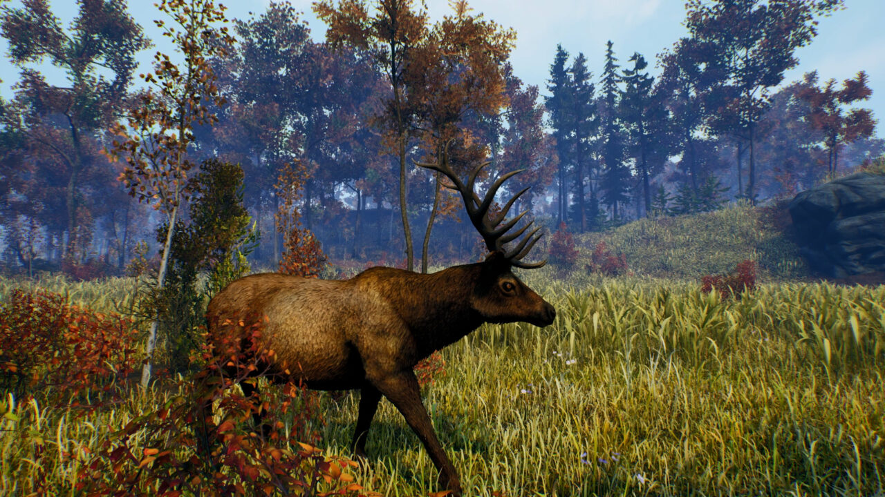 Open Country launches June 3 - Gematsu