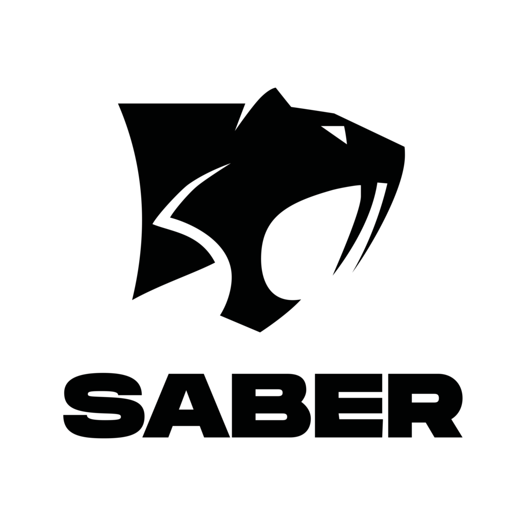 Saber Interactive - Gematsu