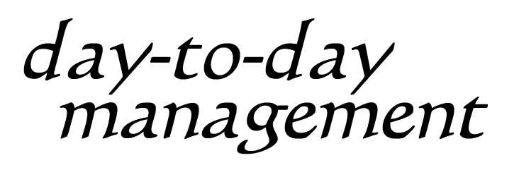 day-to-day management - Gematsu