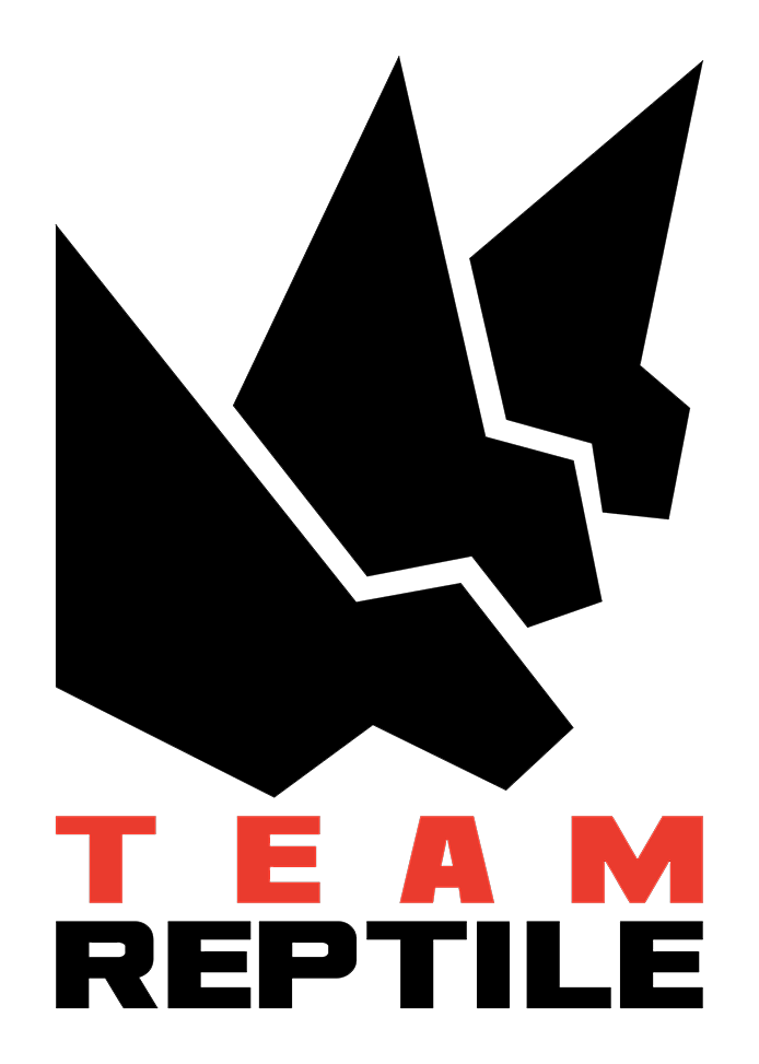 Team Reptile - Gematsu