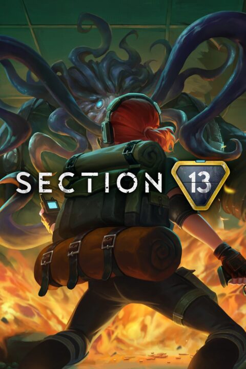 Section 13 - Gematsu