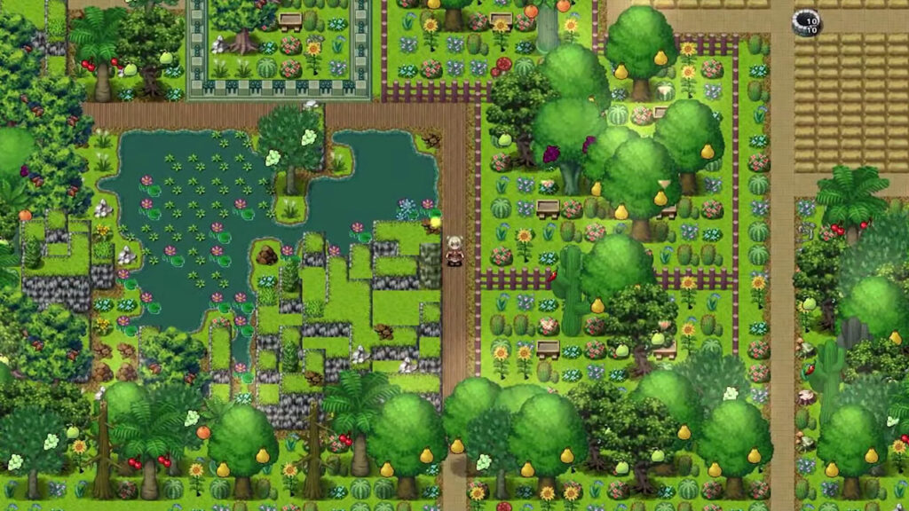 Drago Noka for Switch, Steam launches January 12, 2023 - Gematsu