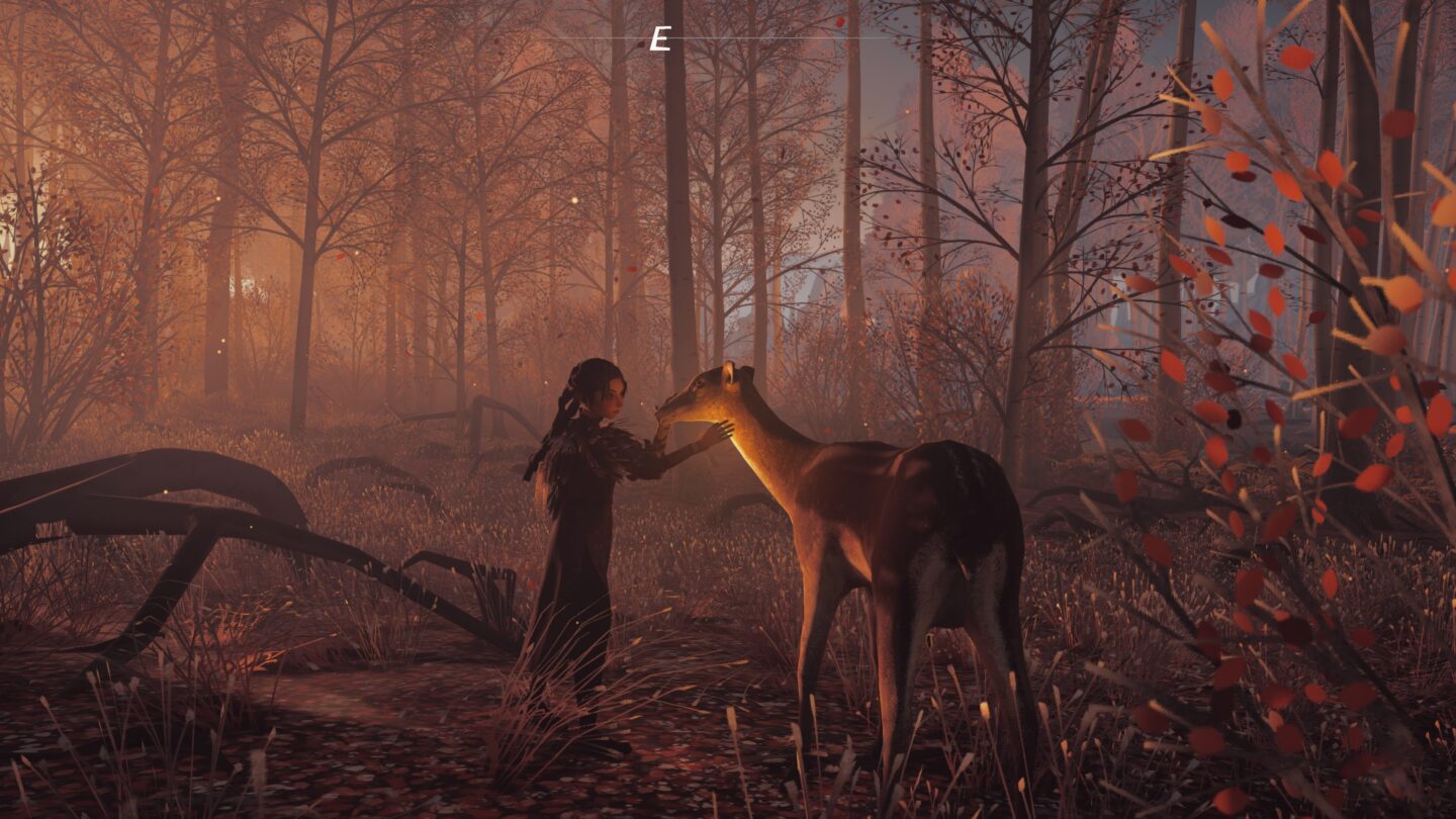 ‘Living witch cottage’ game REKA for PC to be published by Fireshine ...