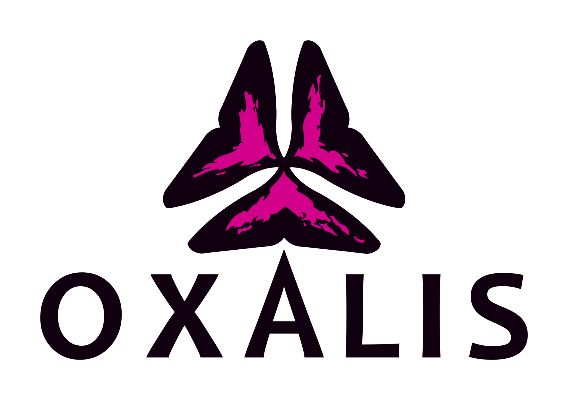 Oxalis Games - Gematsu