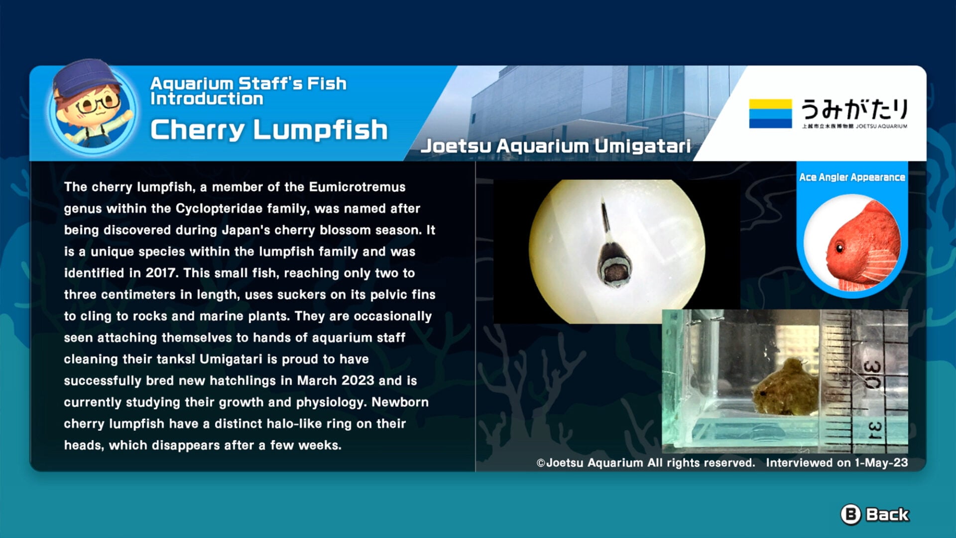 Ace Angler: Fishing Spirits summer update now available, adds famous fish from 11 real-life ...