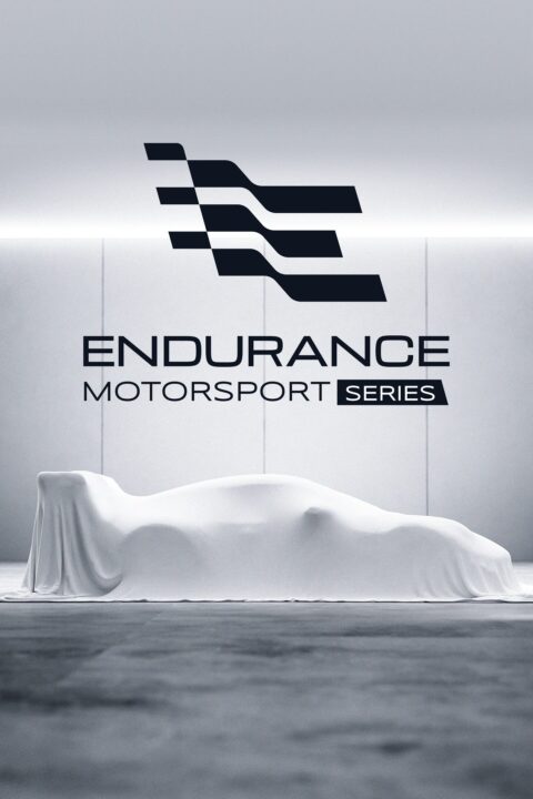 Endurance Motorsport Series - Gematsu