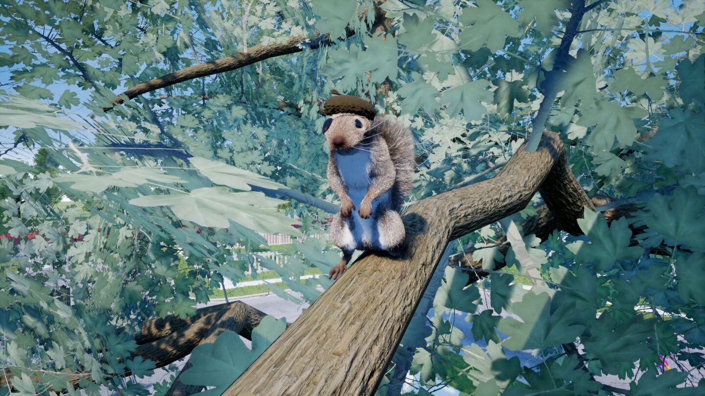 Squirrel with a Gun launches this fall for PS5, Xbox Series, and PC ...