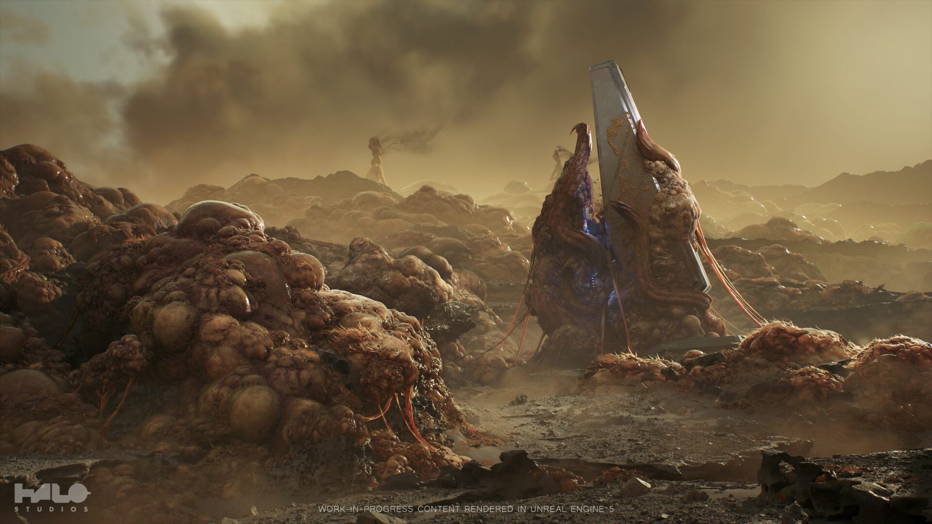 343 Industries becomes Halo Studios, multiple Halo games in development ...